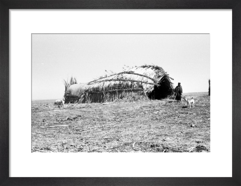 Sitra at Abu Laila – Pitt Rivers Museum Prints