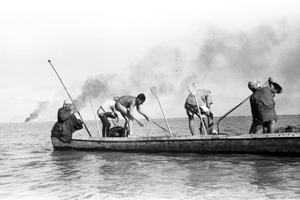 Berbera men fishing with nets – Pitt Rivers Museum Prints