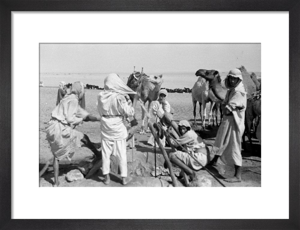 View of Sahul Bedouin drawing ... – Pitt Rivers Museum Prints