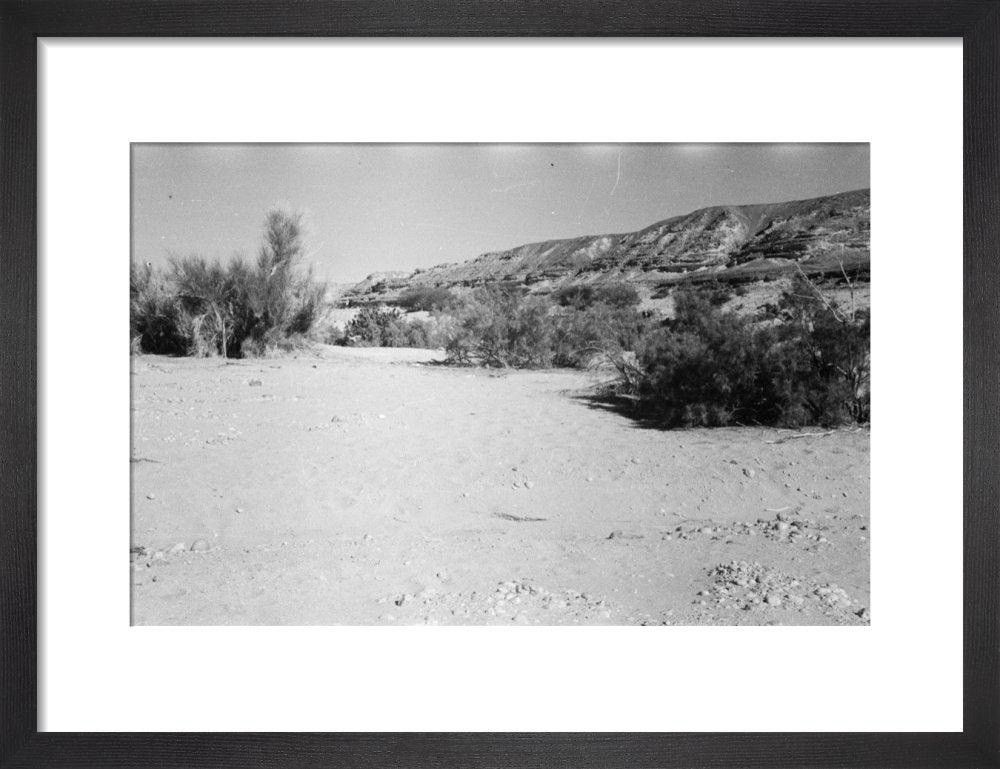 View of marakh and tamarisk ... – Pitt Rivers Museum Prints