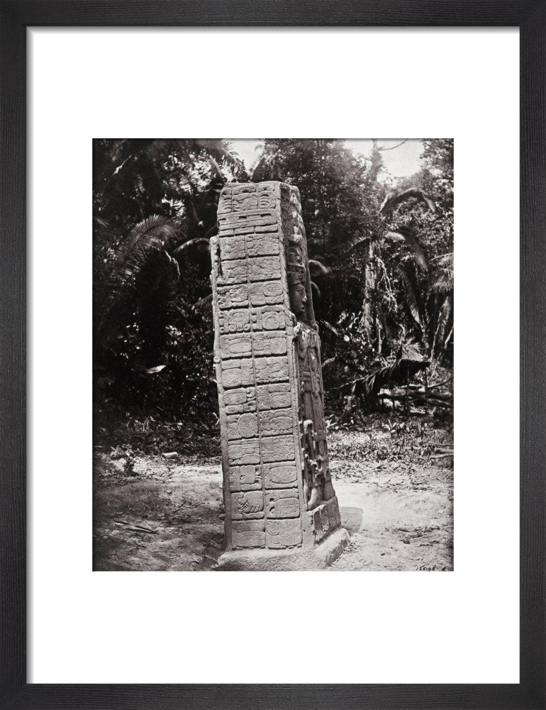 Stone carving (Stela C) at Maya site of Quirigua, Guatemala – Pitt ...